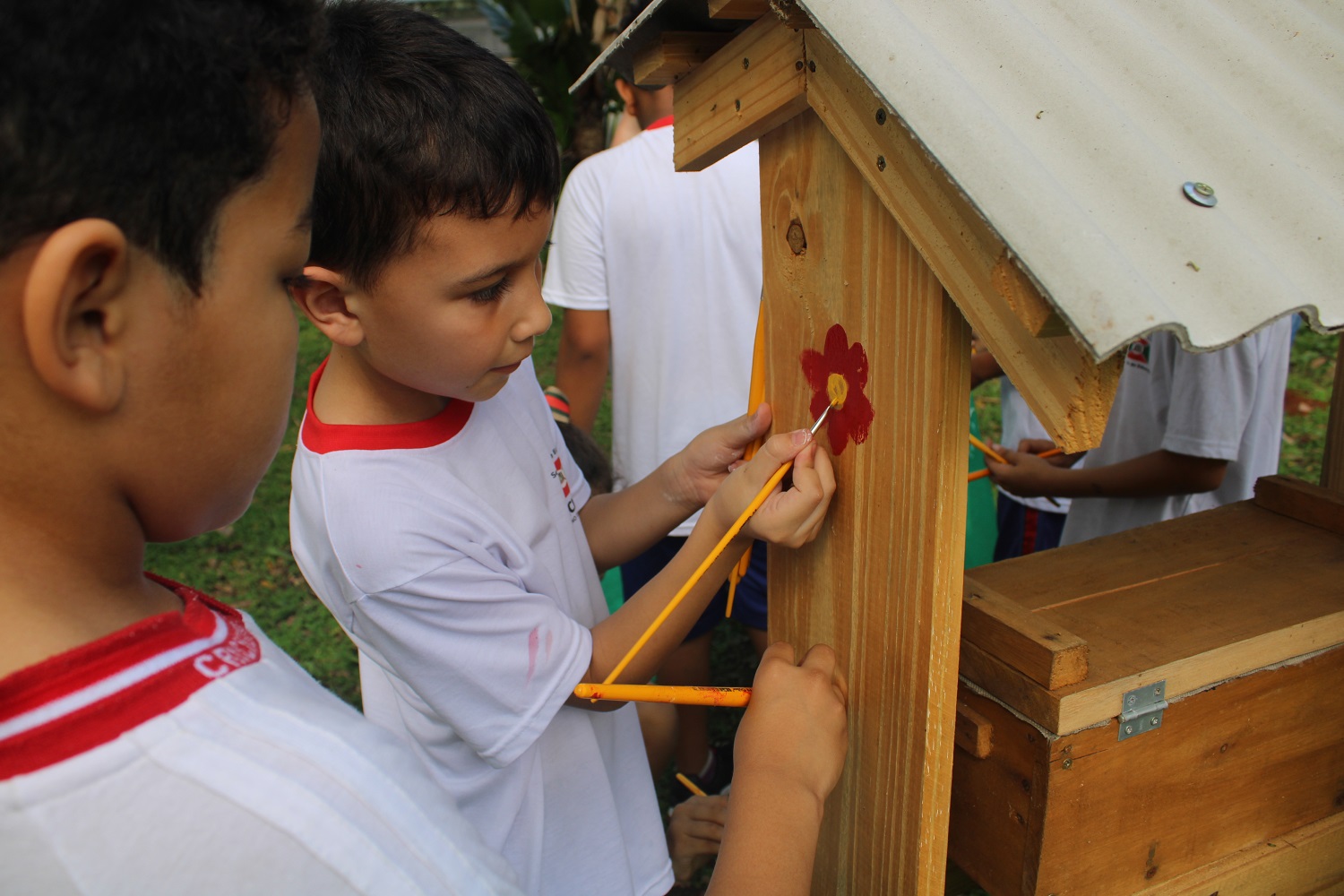 Horto Florestal de Criciúma ganha melipolinário e trilha ecológica - Mais Sul